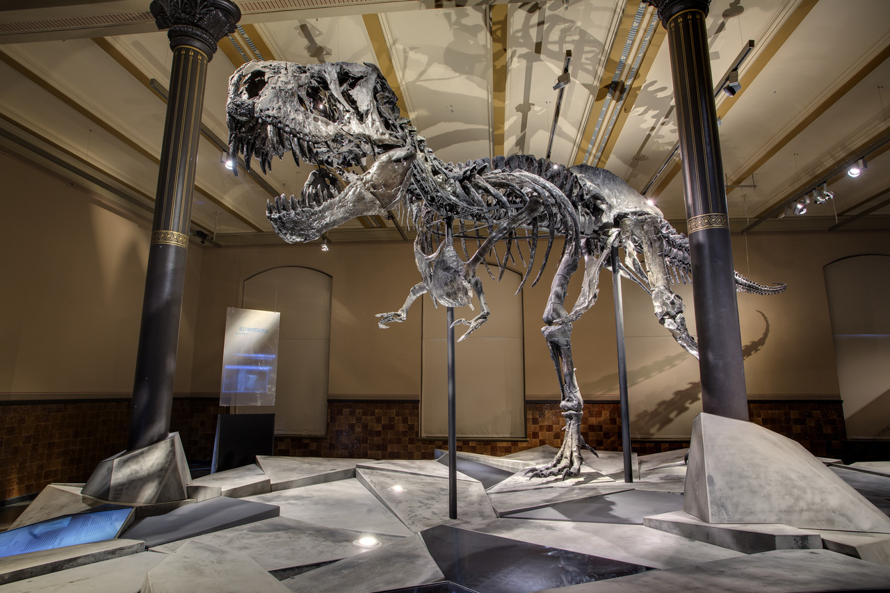 Treffen der Urzeit-Giganten in Berlin | Alles über visitBerlin ...