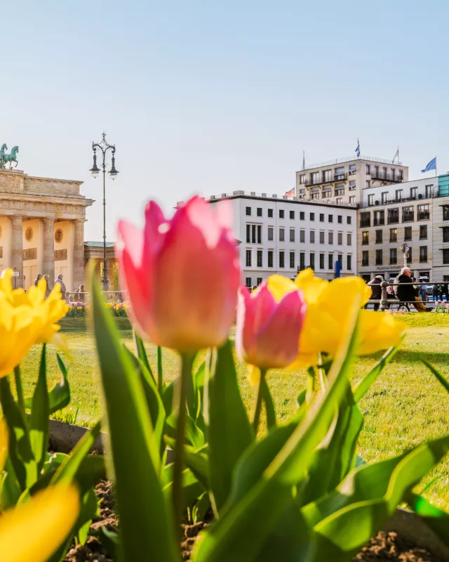 Ostern in Berlin erleben | about.visitBerlin.de